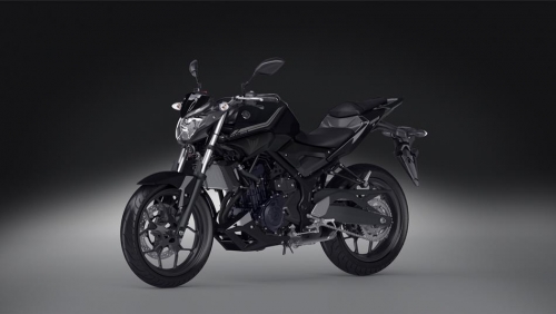 2017 Yamaha MT-25 Tanıtımı | motorcular.com